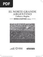 Informe Region NOA | PDF | Entorno natural | Ciencias de la Tierra