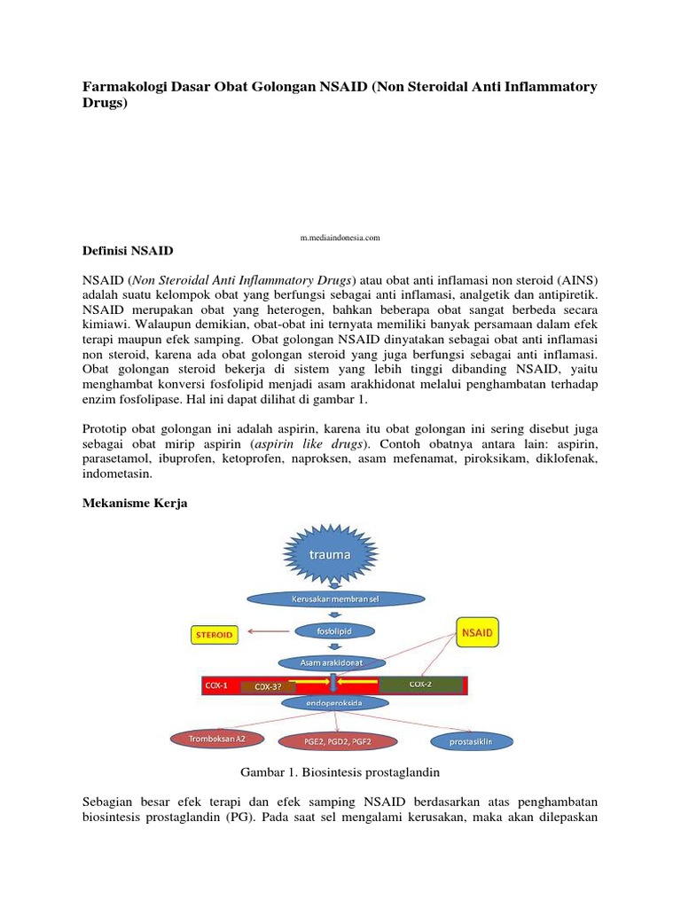 Farmakologi Dasar Obat Golongan NSAID | PDF