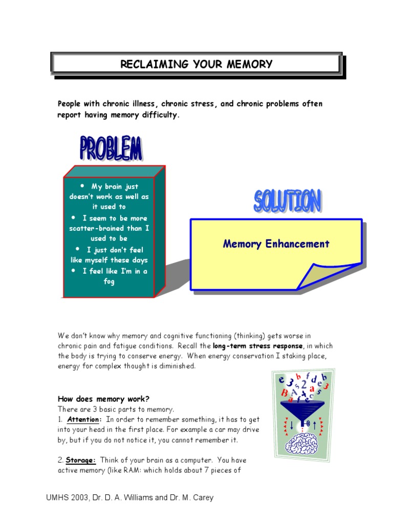 Reclaiming Your Memory | PDF | Memory | Attention