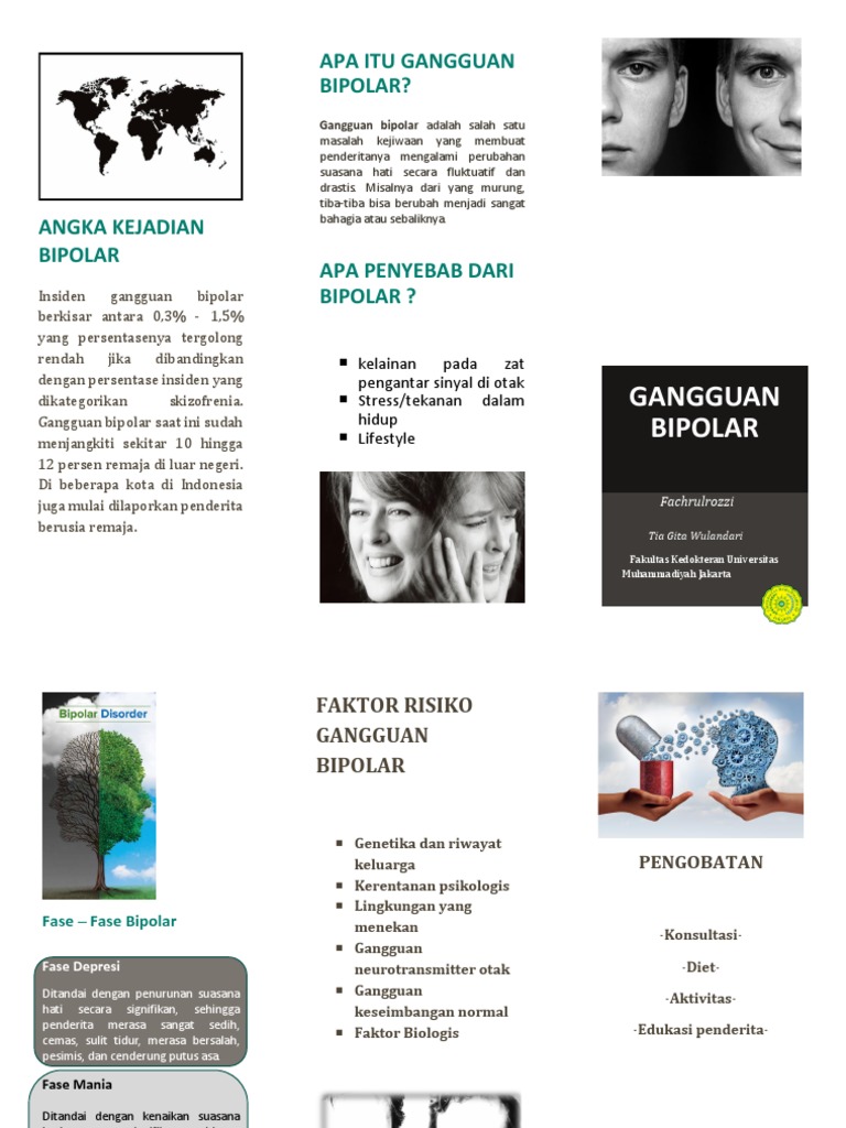 Leaflet Bipolar | PDF