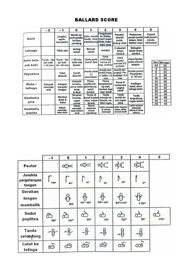 Ballard Score | PDF