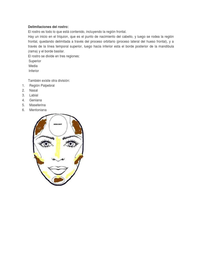 Delimitaciones Del Rostro | PDF | Anatomía humana