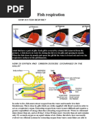 Pretest in Grade 9 Science | PDF | Chemical Bond | Electric Power ...