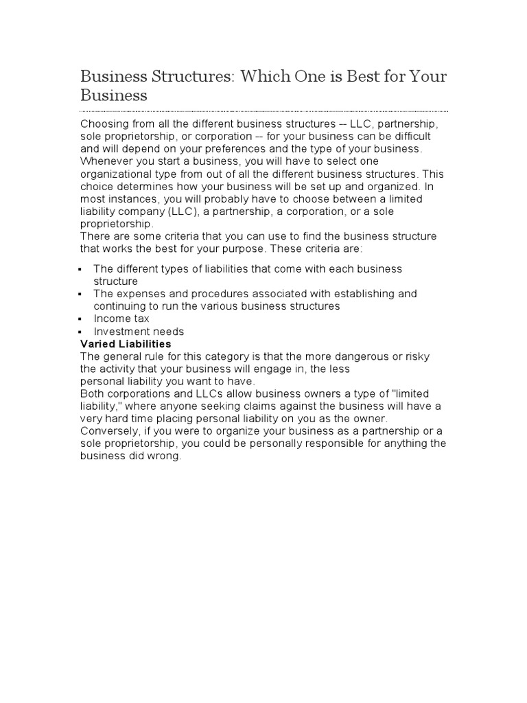 Business Structure Basics 17 | PDF