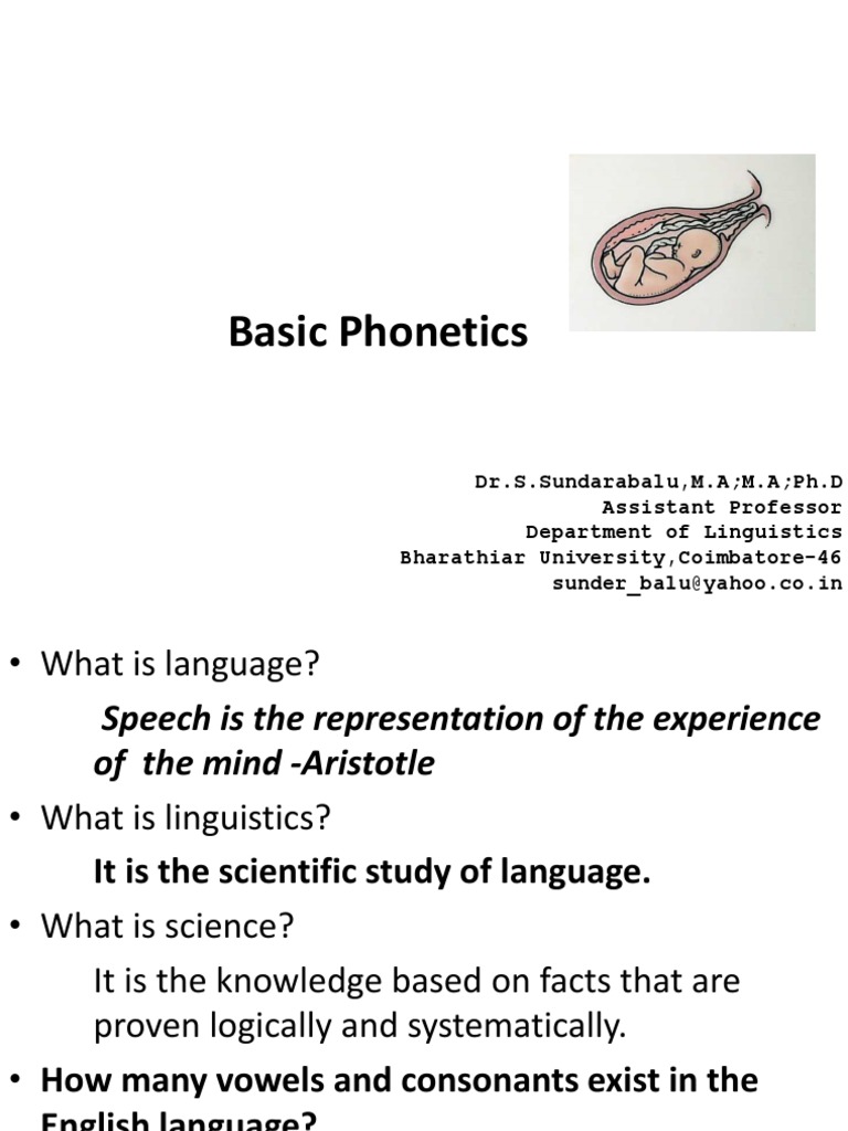 Phonetics | PDF | Phonetics | Phonology