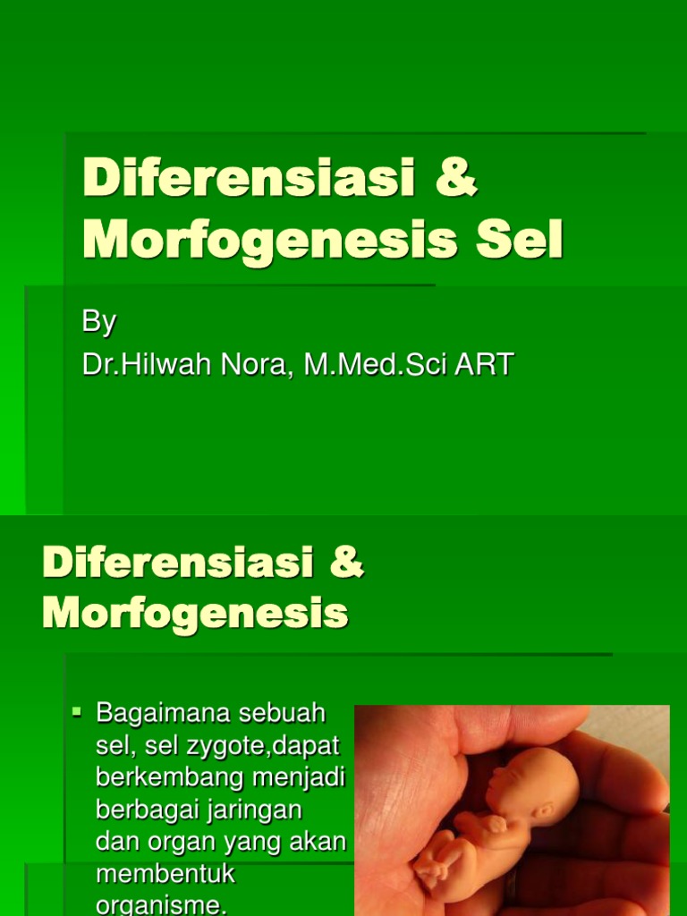 Proses Morfogenesis dan Diferensiasi Sel | PDF