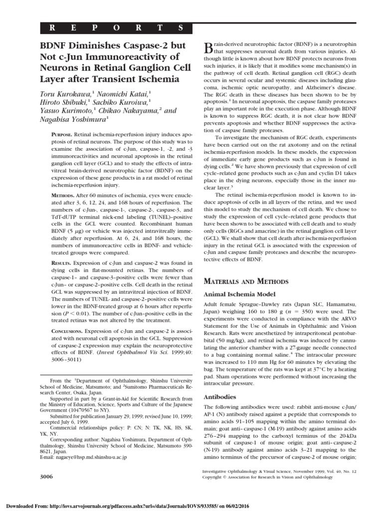 BDNF Diminishes Caspase-2 But Not C-Jun Immunoreactivity of Neurons in ...