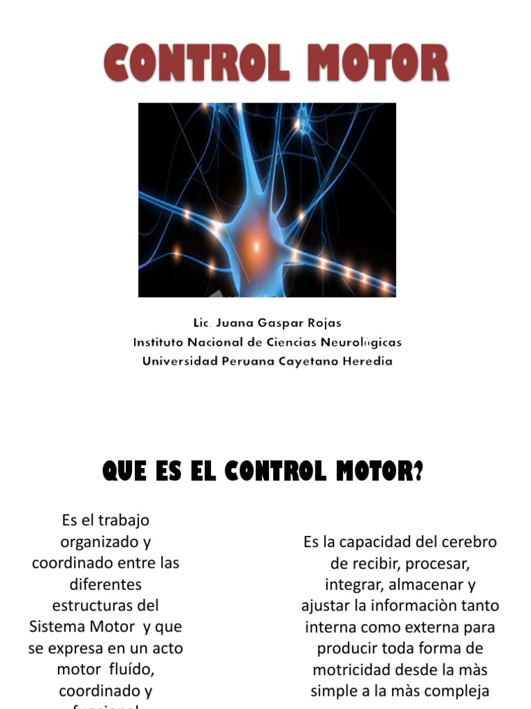 c6 Control Motor | PDF | Músculo | Cerebro