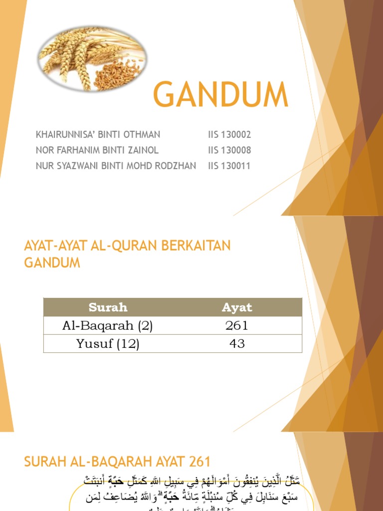 Slide Gandum | PDF