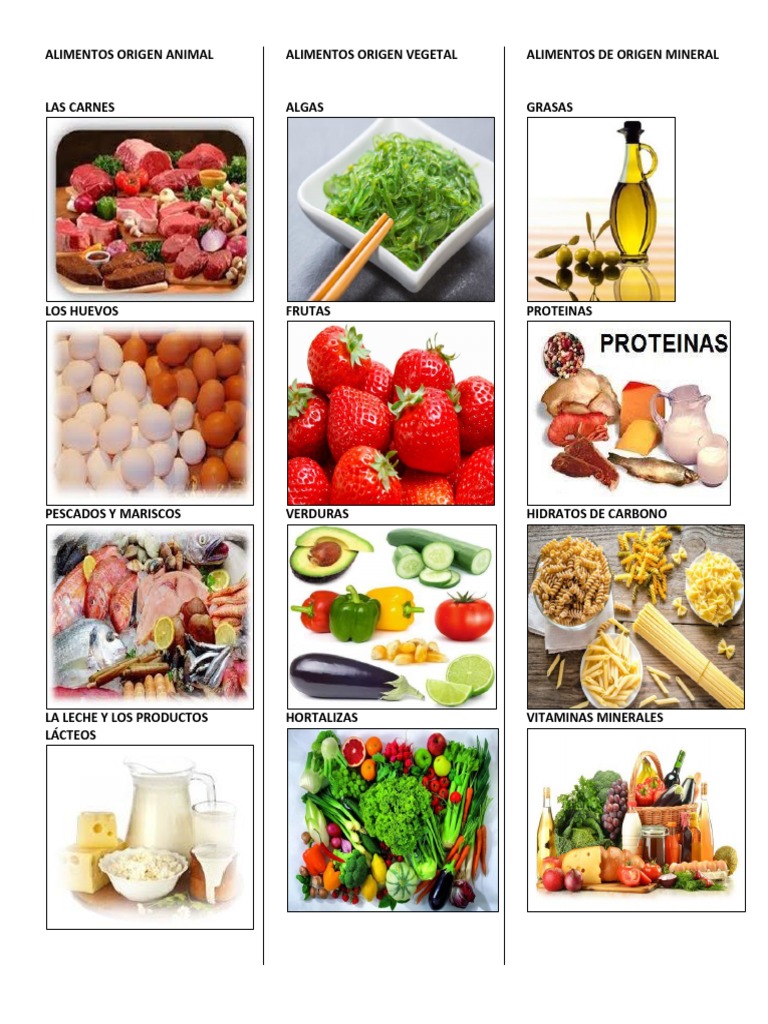 Alimentos Según Su Origen Animal Vegetal Y Mineral Pdf Vegetales