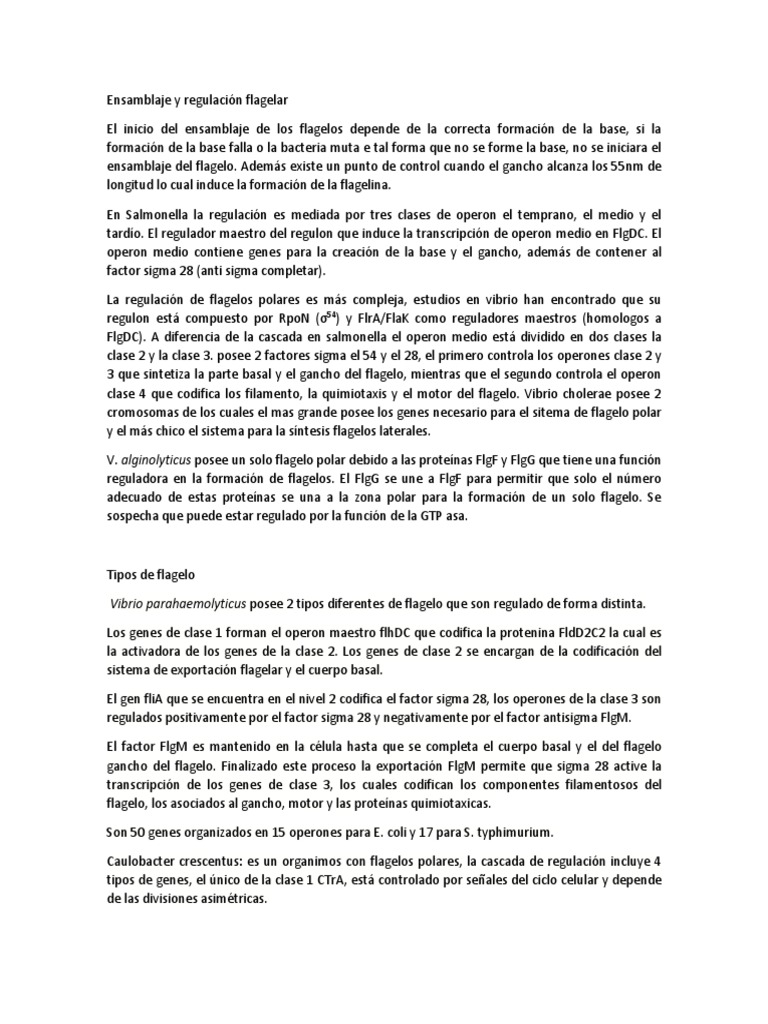 Ensamblaje y Regulación Flagelar | PDF | Operón | Biología Celular)