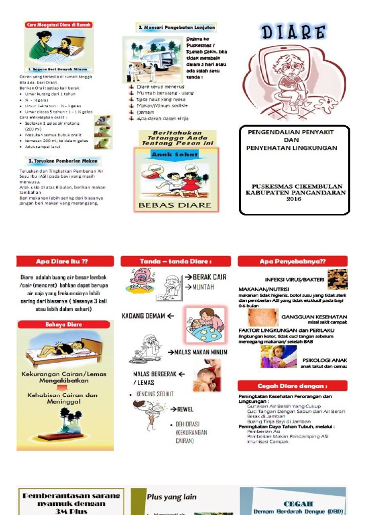 Leaflet Prolanis | PDF