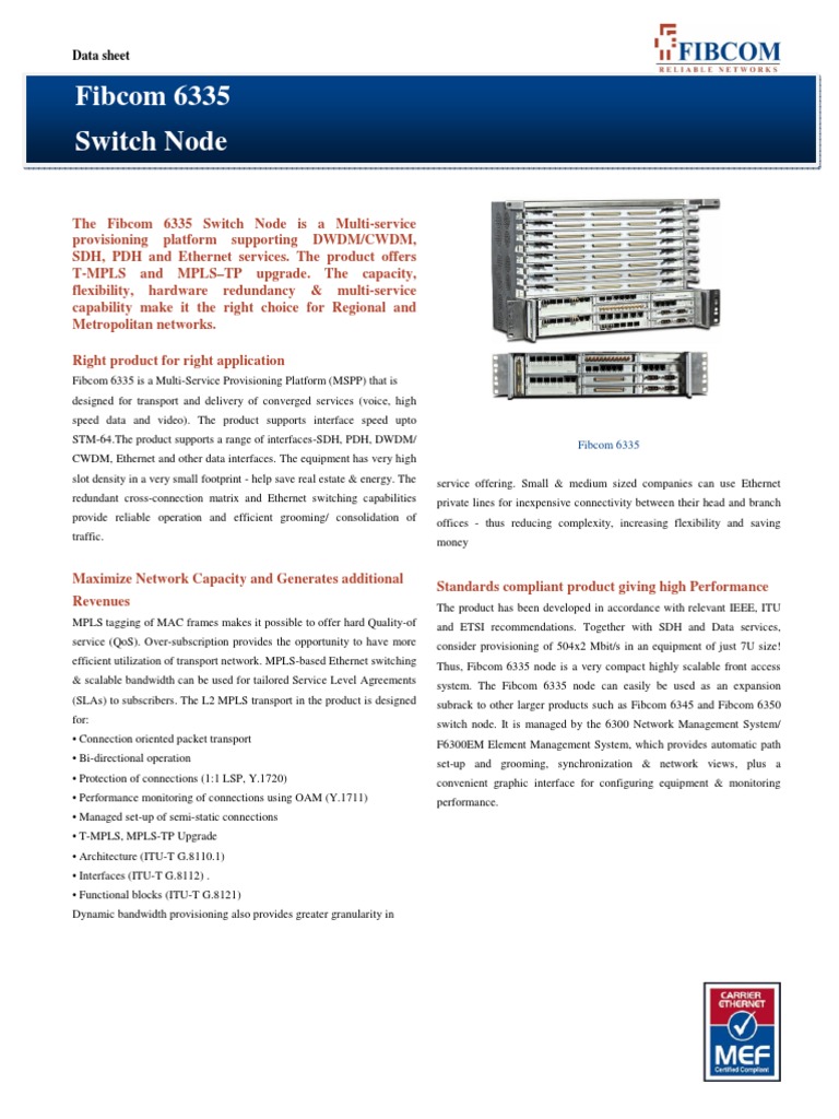 6335 | PDF | Multiprotocol Label Switching | Networking