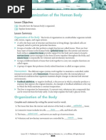 Lactase Persistence Case Study | PDF | Repressor | Promoter (Genetics)