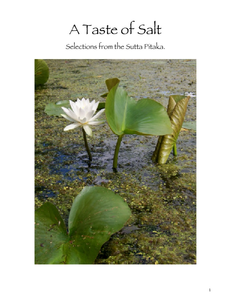 A Taste of Salt PDF | PDF