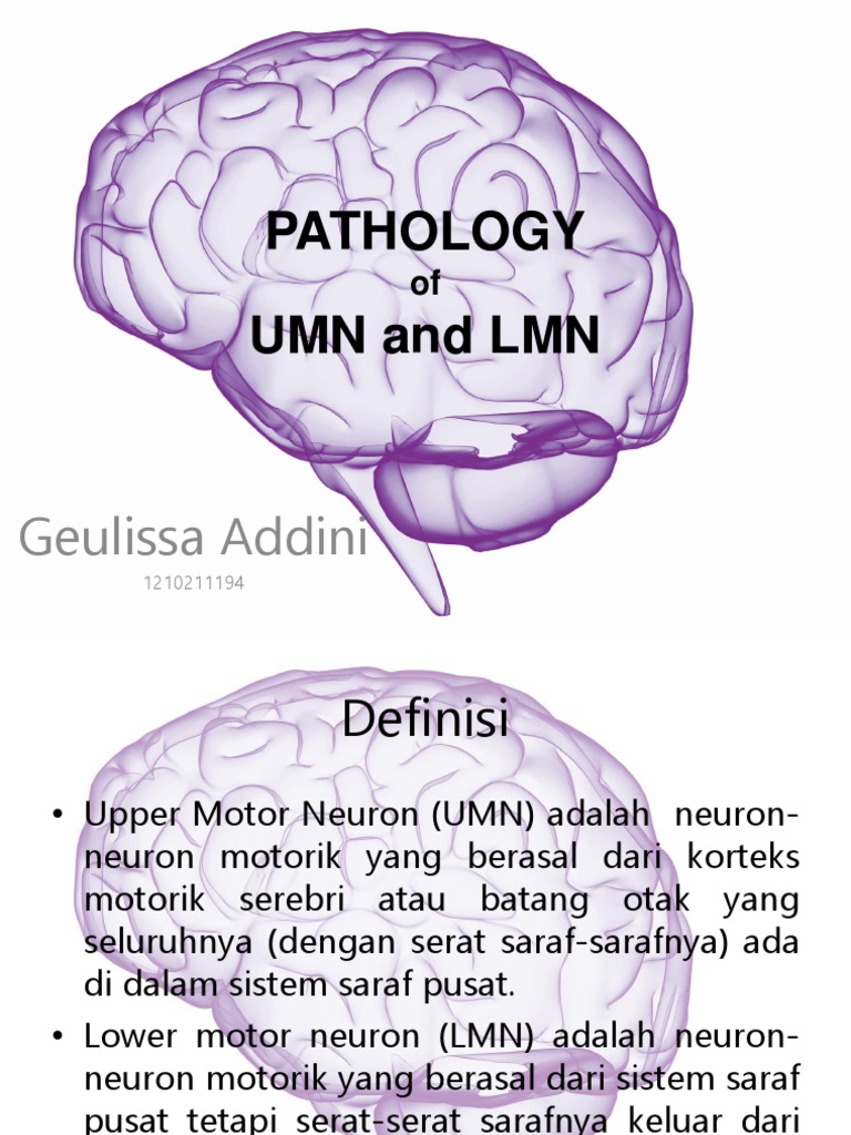 Umn Dan Lmn Pdf