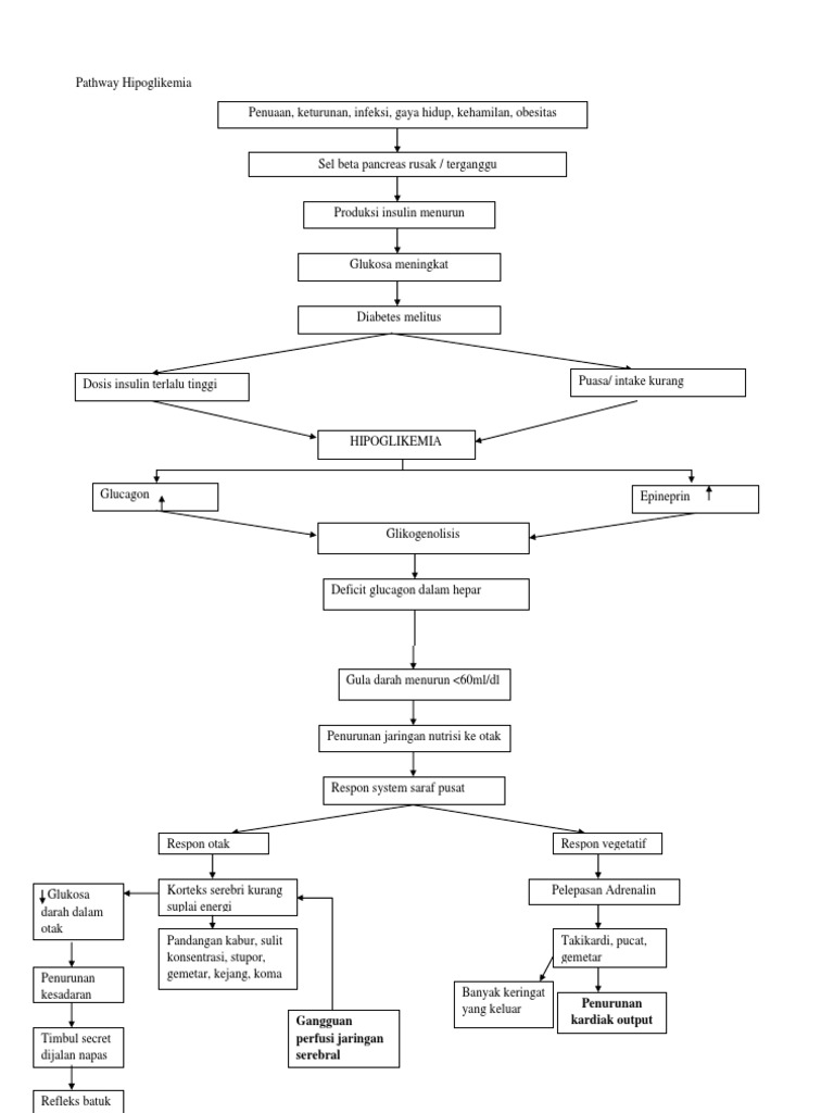 Pathway Hipoglikemia | PDF