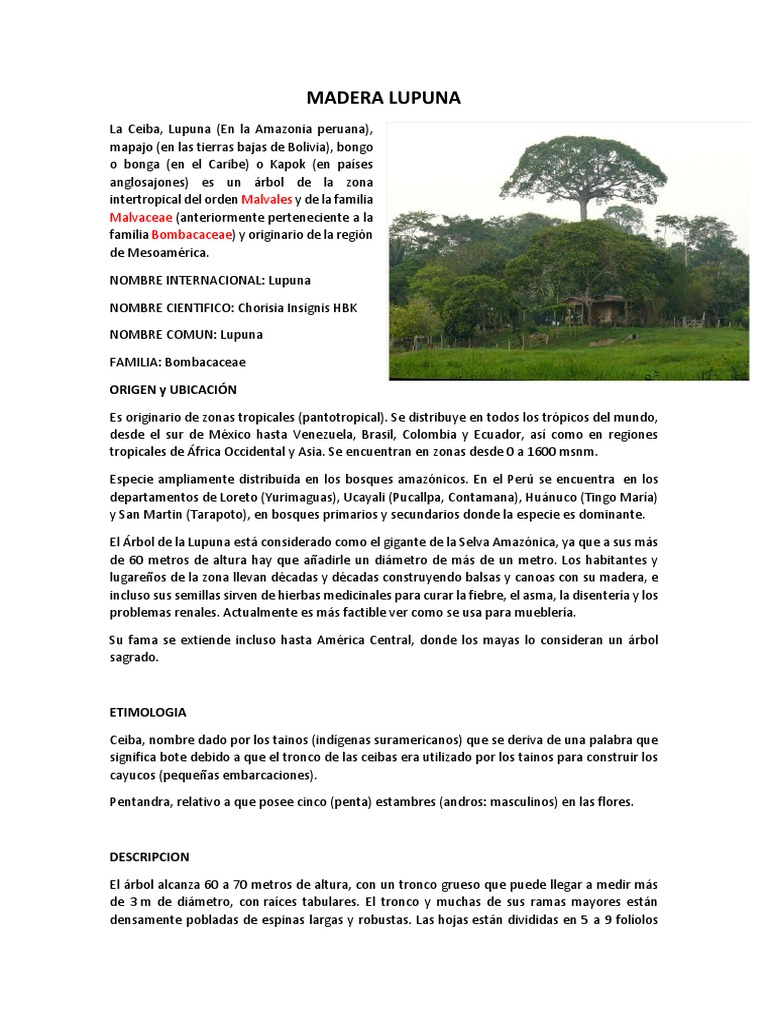 Madera Lupuna | PDF | Botánica | Horticultura y jardinería