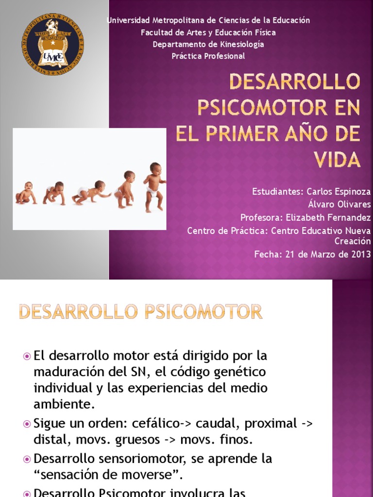 Desarrollo Psicomotor en El Primer Año de Vida | PDF | Bienestar | Medicina