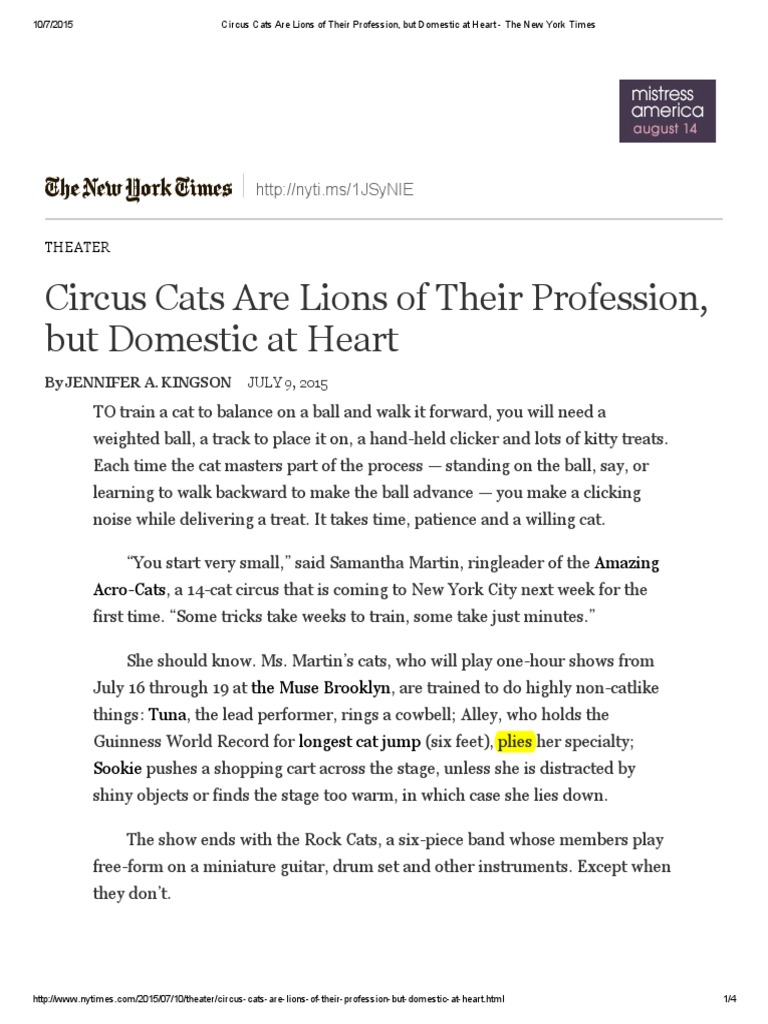 3 - Circus Cats Are Lions of Their Profession, But Domestic at Heart ...