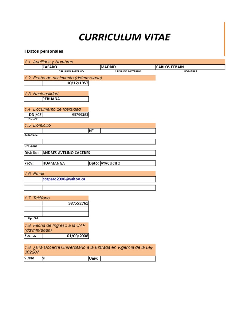 CV Fia-Uap 2017-1 - Abal Mejia Jhonatan | PDF | Universidad | Maestros