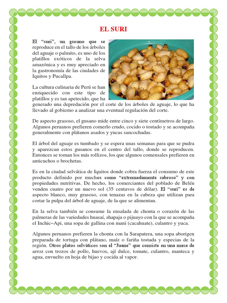 El Suri | PDF