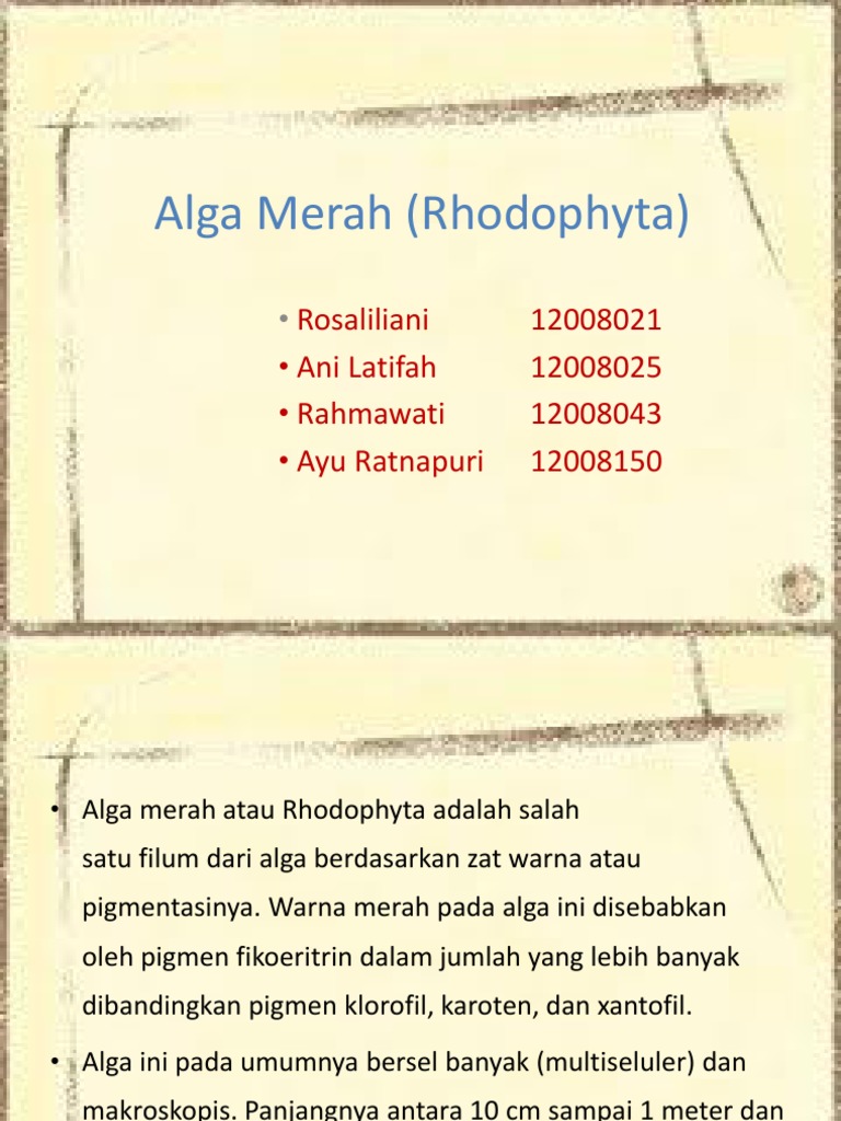 Alga Merah (Rhodophyta) | PDF