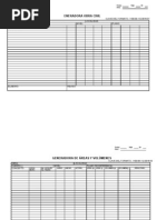 Formato de Liberación de Colado | PDF