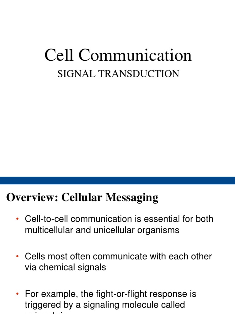 Cell Communication - DA | PDF | Cell Signaling | Signal Transduction