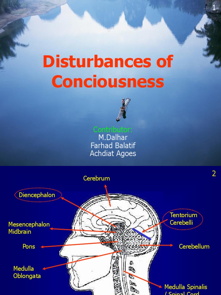 Disturbances of Consciousness | PDF | Cerebral Cortex | Coma