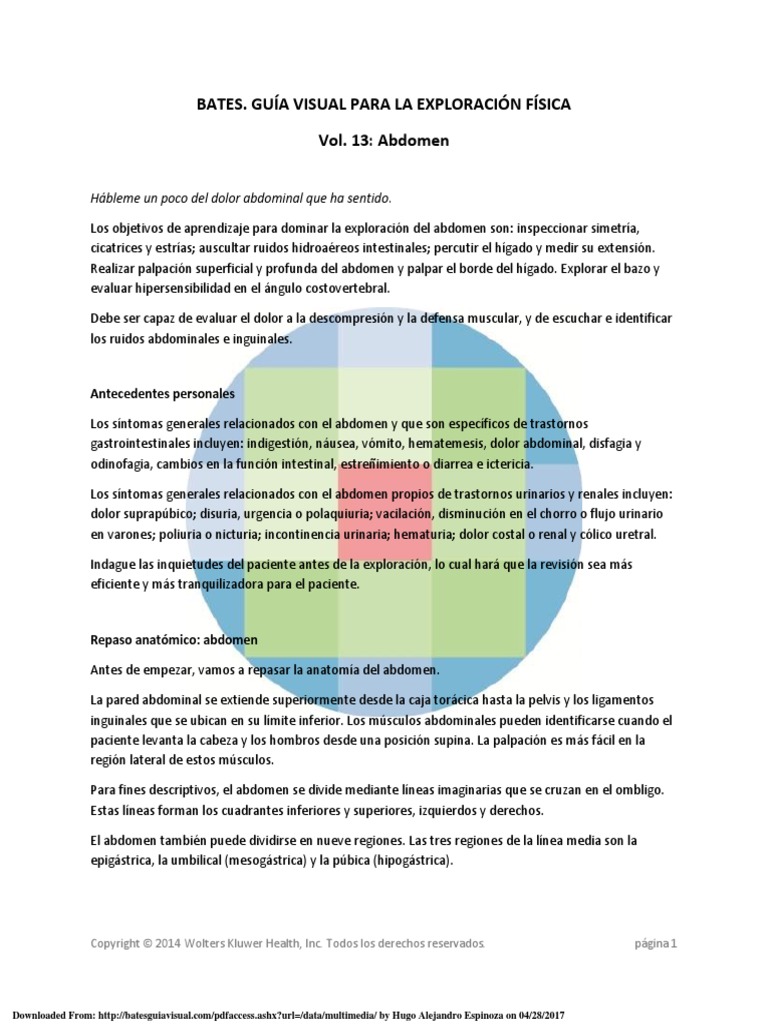 Bates 13 Abdomen ES | PDF | Bazo | Abdomen