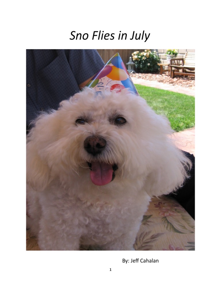 Sno Flies in July | PDF | Canoe | Camping