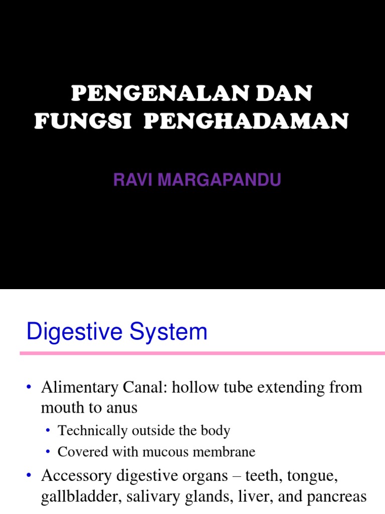 Pengenalan Dan Fungsi Penghadaman | PDF