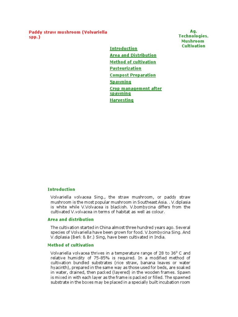 Paddy Straw Mushroom | PDF | Mushroom | Compost