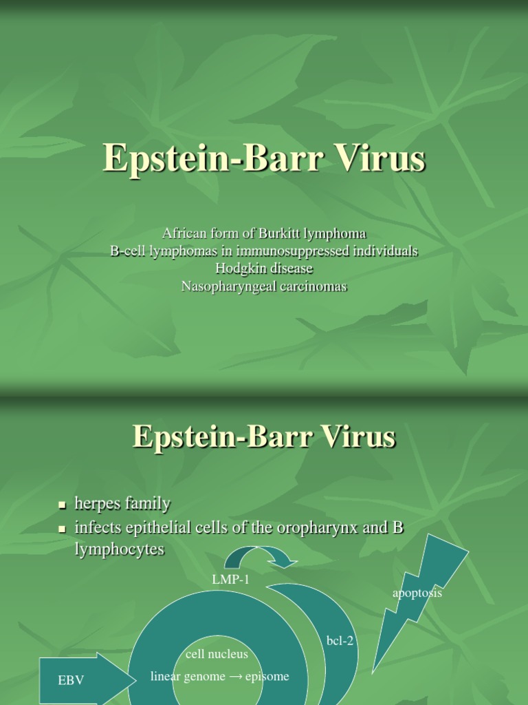 Epstein Barr Virus | PDF | Virus | Immunology