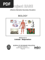 Macromolecule Summary Chart - Completed | PDF | Macromolecules | Cell ...