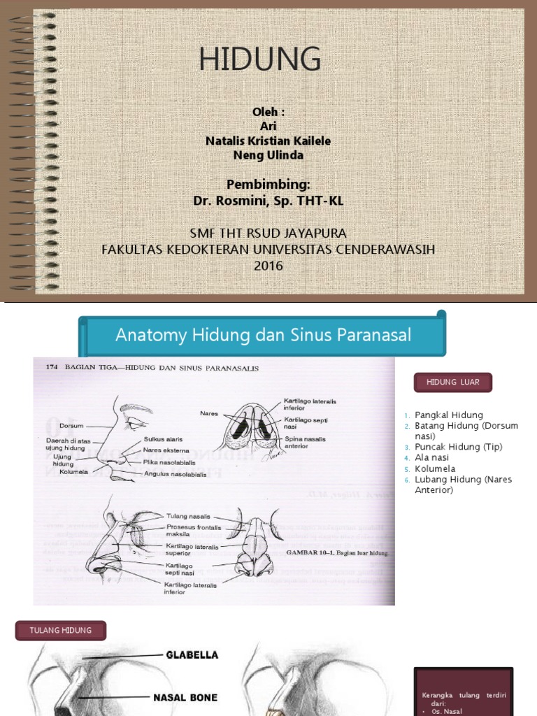 Anatomi dan Fisiologi Hidung | PDF | Sains & Matematika