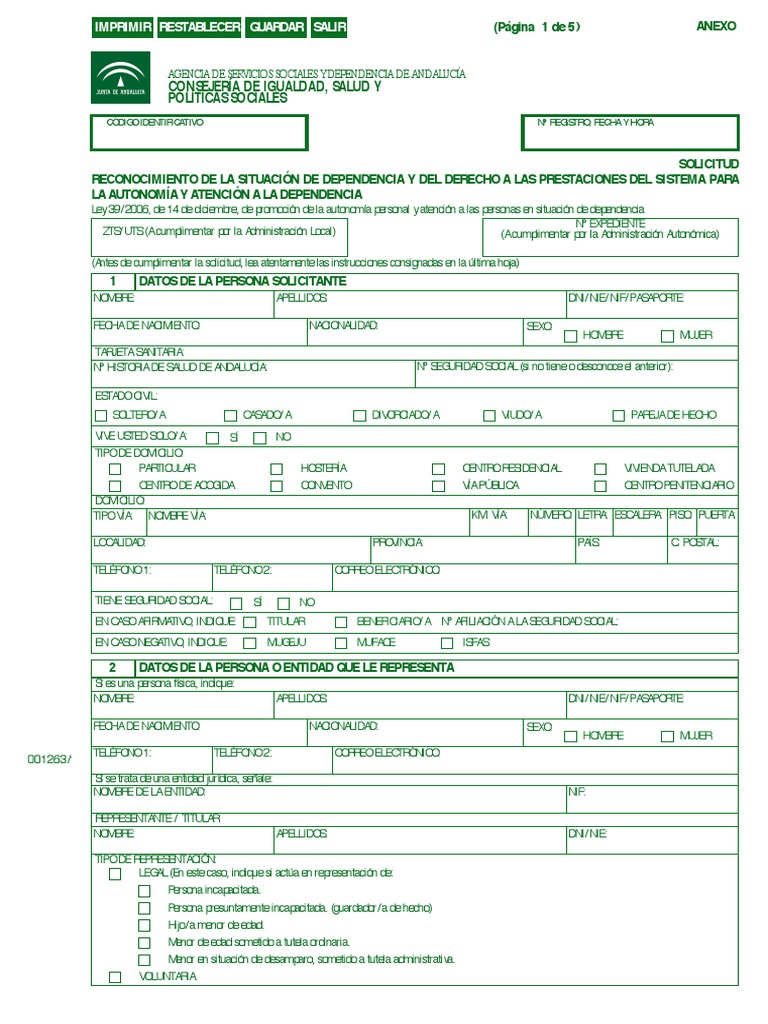Modelo Solicitud Evaluacion Dependencia 18-11-14 | PDF | Trabajo Social | Gobierno
