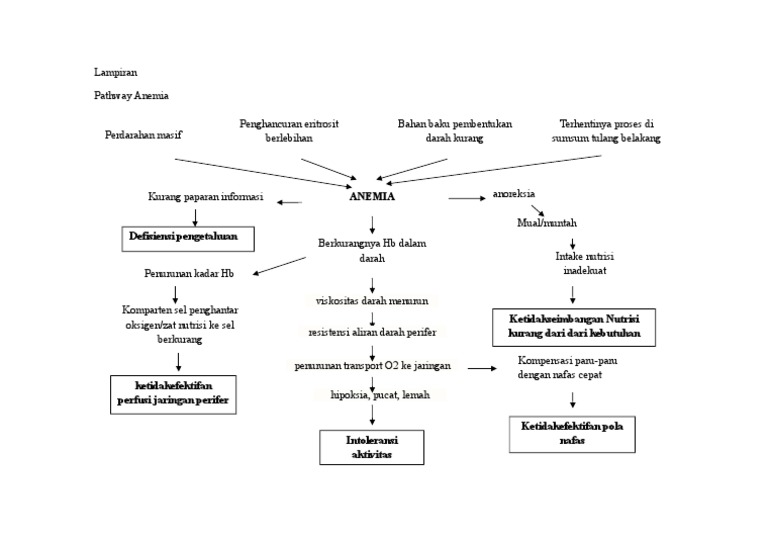 Pathway Anemia | PDF