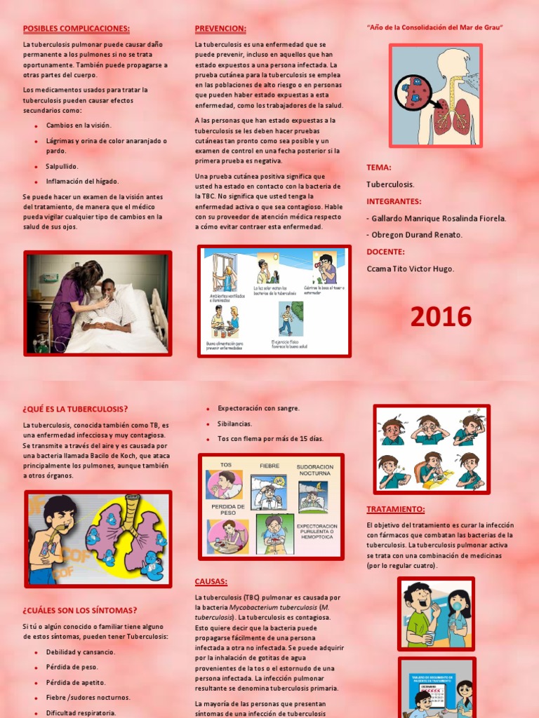 Triptico Tuberculosis | PDF | Tuberculosis | Enfermedades animales