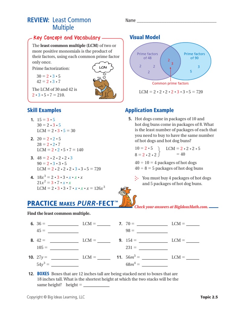 2 5 LCM | PDF | Cognition | Teaching Mathematics