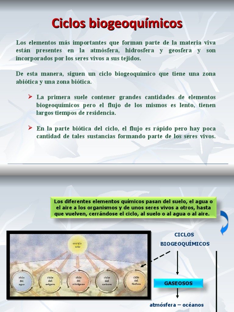 ciclos biogeoquímicos.ppt | Biomasa | Ecología