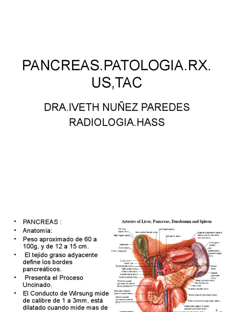 Patología y Diagnóstico del Páncreas | PDF | Páncreas | Anatomía