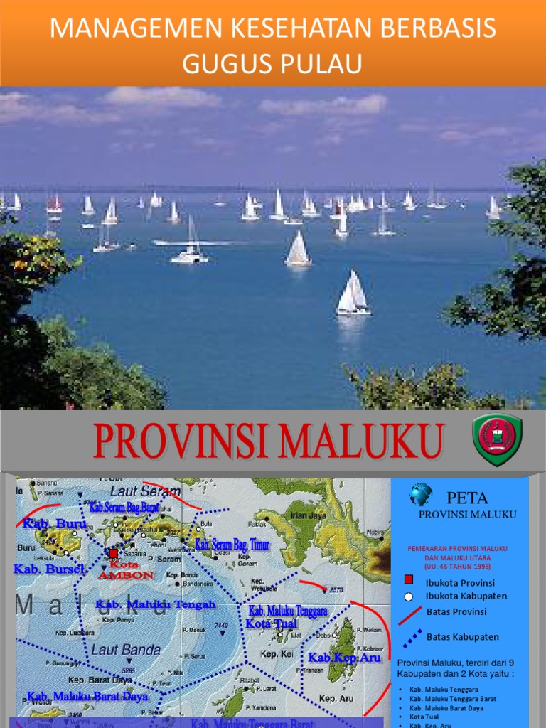 edit-MANAGEMEN KESEHATAN BERBASIS GUGUS PULAU FINAL1 | PDF