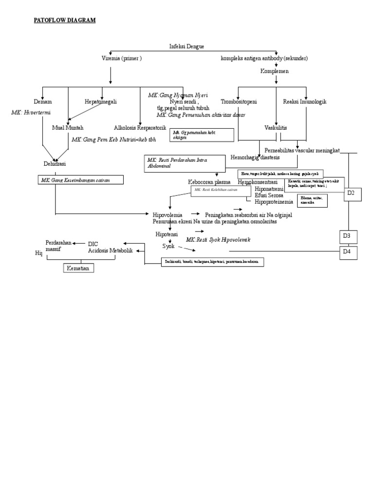 Patoflow Diagram DHF | PDF