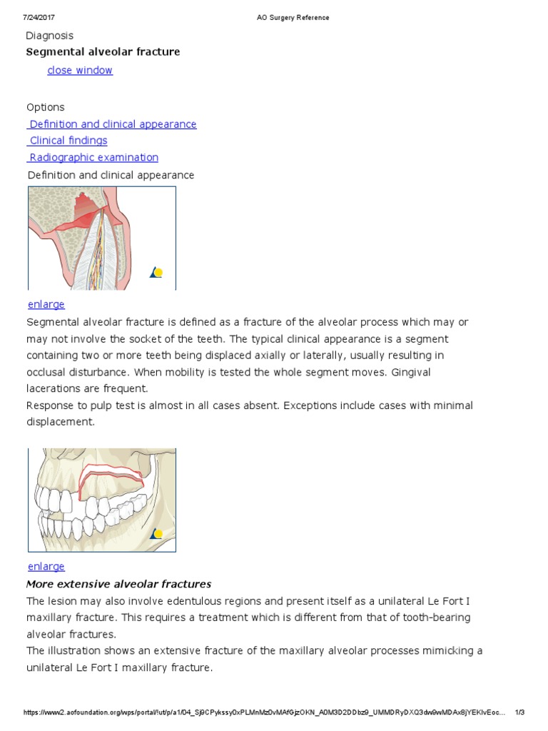 AO Surgery Reference | Download Free PDF | Tooth | Primate Anatomy