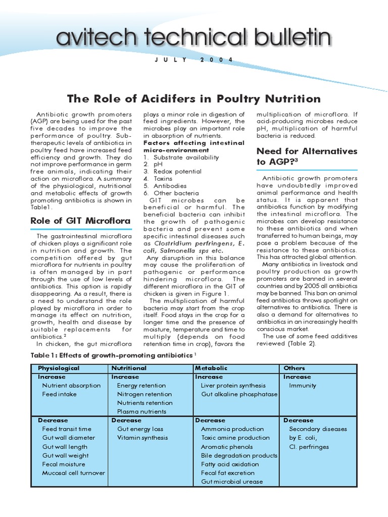 The Role of Acidifiers in Poultry Nutrition PDF | PDF | Gut Flora ...