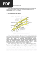Anatomi dan Fisiologi Aksila | PDF
