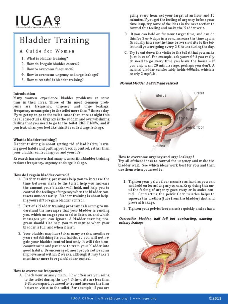 Bladder Training: A Guide For Women | PDF | Urinary Incontinence ...