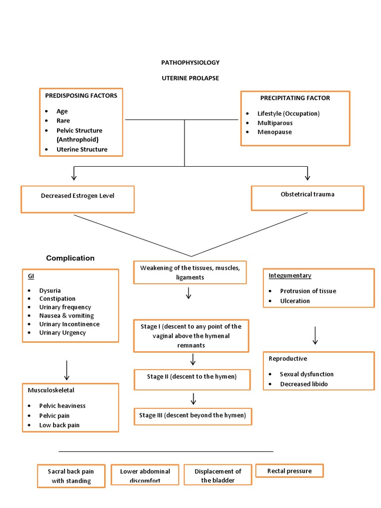 Pathophysiology Uterine Prolapse Predisposing Factors Age Rare Pelvic Structure (Anthrophoid ...
